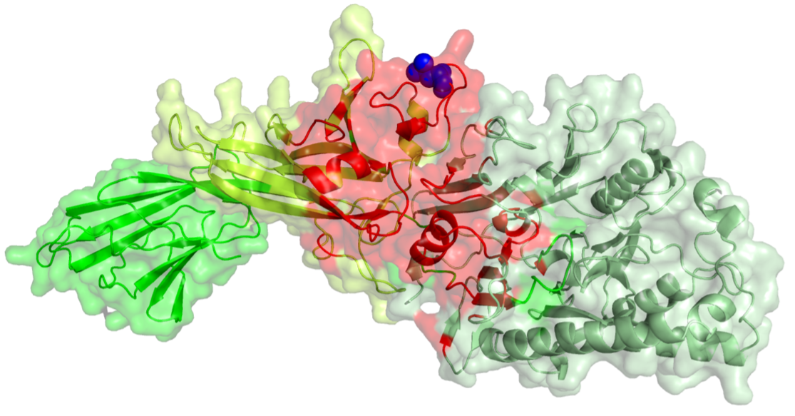 Epigenetic Mechanisms in Cancer - IPBS-Toulouse