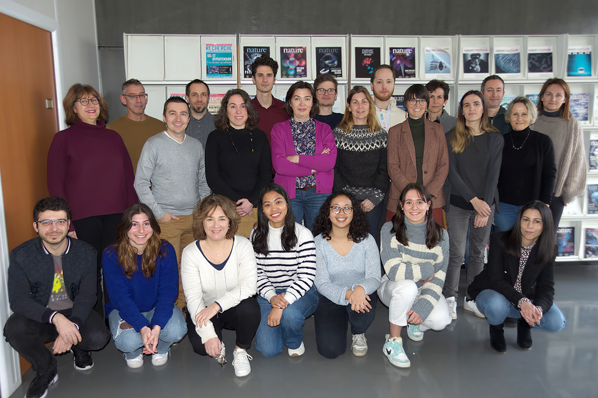 Proteomics and Mass Spectrometry of Biomolecules - IPBS-Toulouse