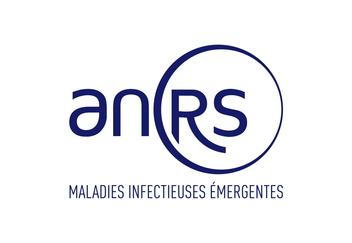 Rémi Mascarau is awarded the Dominique Dormont thesis prize 2023 from ...